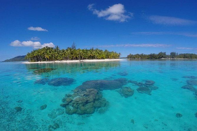 Bora Bora Private Lagoon Tours - What to Expect from the Experience