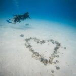 Bora Bora: Romantic Dive for Two People (Beginners) - Pricing and Value