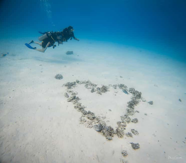 Bora Bora: Romantic Dive for Two People (Beginners) - Pricing and Value