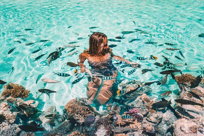 Bora Bora Snorkel Cruise by Polynesian Outrigger Canoe with BBQ Island Lunch - Why This Tour Excels in Value