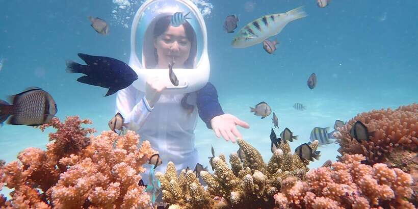 Boracay: Helmet Diving Experience with Photos and Videos - The Value of the Experience