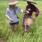 Boracay: Motag Living Museum Guided Tour - Who Will Love This Tour?