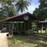Borneo (Klias) River Cruise & Fireflies Tour - The Experience: What You Can Expect
