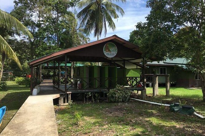 Borneo (Klias) River Cruise & Fireflies Tour - The Experience: What You Can Expect
