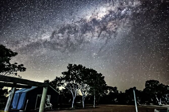 Boshack Farm - Animal, Wildlife, Stargazing Nature Aussie culture - The Farm Experience: Animals, Food, and Nature