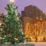 Boston: A Bostonian Christmas Private Tour - A Festive Spin on Boston’s Top Historic and Scenic Spots