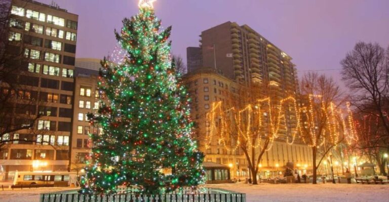 Boston: A Bostonian Christmas Private Tour - A Festive Spin on Boston’s Top Historic and Scenic Spots