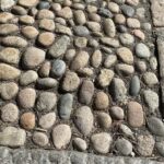 Boston's Beacon Hill: Small Group or Private Walking Tour - Real Insights from Past Participants