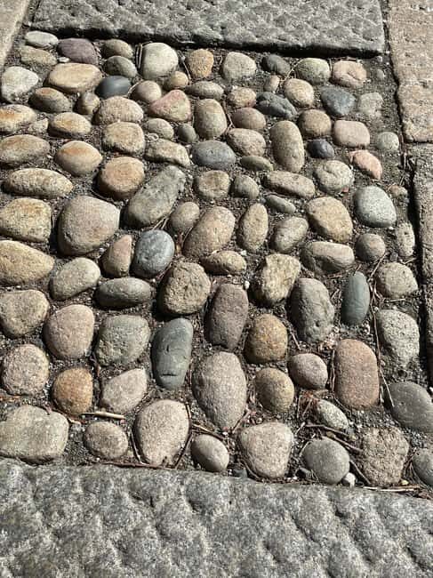 Boston's Beacon Hill: Small Group or Private Walking Tour - Real Insights from Past Participants
