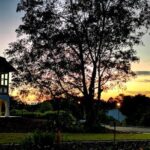 Botanic Gardens & Tiong Bahru Walking Tour with Breakfast - A Detailed Look at the Tour Experience