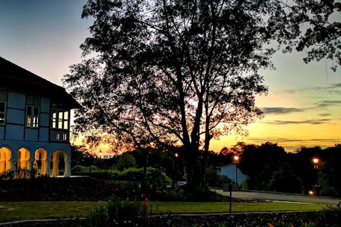 Botanic Gardens & Tiong Bahru Walking Tour with Breakfast - A Detailed Look at the Tour Experience