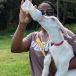 Bottle Feed & Cuddle Baby Goats Tour on Big Island Farm - The Reviews in Their Own Words