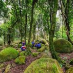 Boulders Scenic Float Tour on the Rangitikei River - What You’ll See and Do
