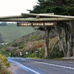 Boutique Great Ocean Road, wildlife and Rainforest Experience - Lunch in Apollo Bay: Fresh Fish & Chips or Gourmet Pizza
