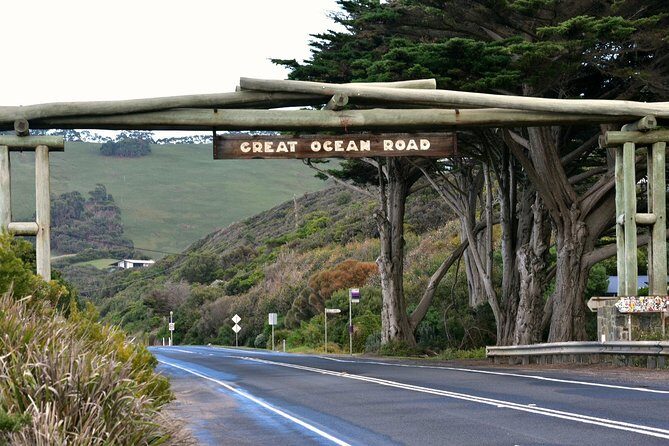 Boutique Great Ocean Road, wildlife and Rainforest Experience - Lunch in Apollo Bay: Fresh Fish & Chips or Gourmet Pizza