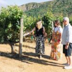 Boutique Winery Half-Day Tour & Vineyard Platter-Style Lunch - What Do Travelers Say?