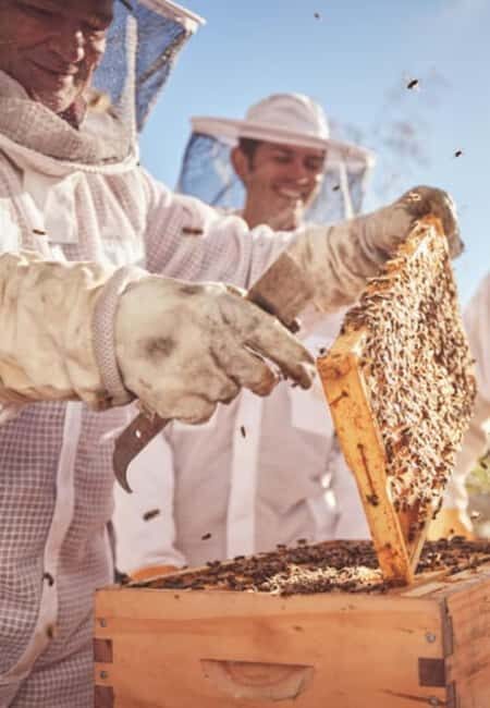 Bowral: Honey Tasting and Hive Opening with Morning Tea - Final Thoughts