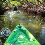 Bradenton: Guided Pedal Kayak Tour - The Itinerary in Detail