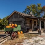 Branson: Downtown to Mountaintop Pink Jeep Adventure - Up-Close Views of Table Rock Dam