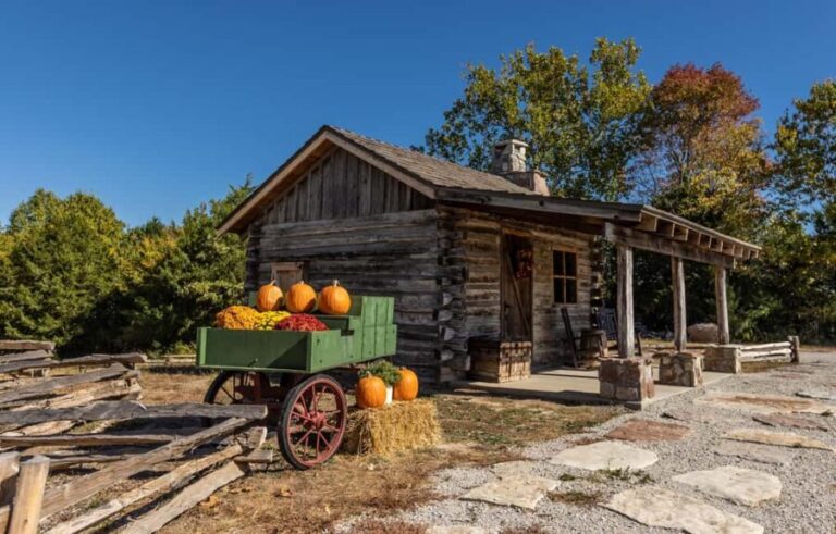 Branson: Downtown to Mountaintop Pink Jeep Adventure - Up-Close Views of Table Rock Dam