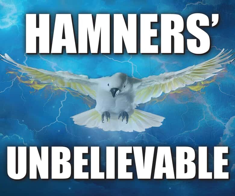 Branson: Hamners' Unbelievable New Year's Eve Extravaganza - What’s Unique About This Event?