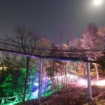 Branson: Thrilling Mountain Coaster Ride - The Value and Practicality of the Price