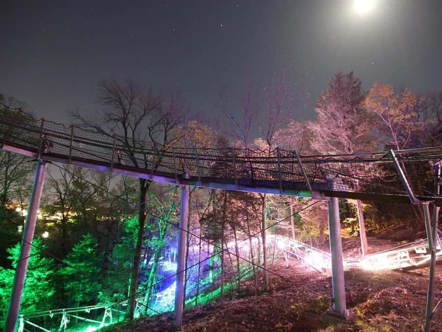 Branson: Thrilling Mountain Coaster Ride - The Value and Practicality of the Price