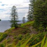 Breakfast Bushwalk in Norfolk Island - Why This Tour Offers Great Value