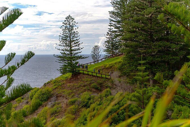 Breakfast Bushwalk in Norfolk Island - Why This Tour Offers Great Value