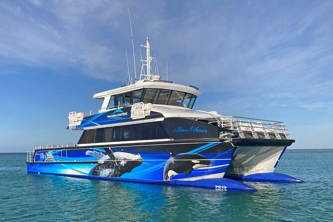 Bremer Canyon Killer Whale (Orca) Expedition - Who Should Consider This Tour?