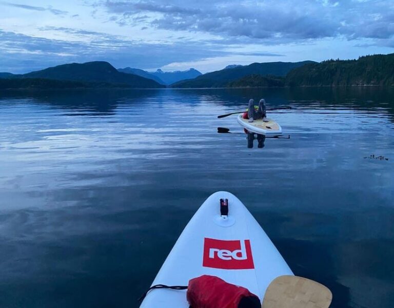 Brentwood Bay: Bioluminescence & Sunset Paddleboard Tour - Why This Tour Works Well for Travelers