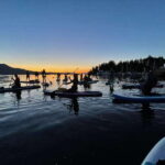 Brentwood Bay: Bioluminescence Tour - The Value of the Experience