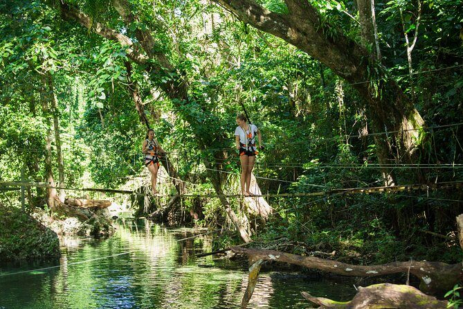 Bridges of Eden: Guided tour including swimming in the river - An Immersive Day in Efate’s Rainforest