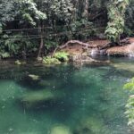 Bridges of Eden with Yumi Tours - FAQ