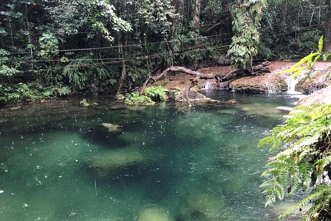 Bridges of Eden with Yumi Tours - FAQ