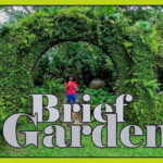 Brief Garden: The Artistic Legacy of Bevis Bawa - A Practical Overview of the Experience