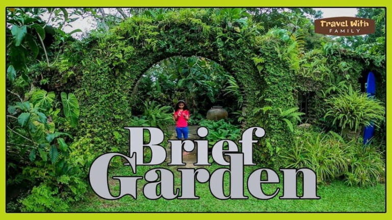Brief Garden: The Artistic Legacy of Bevis Bawa - A Practical Overview of the Experience