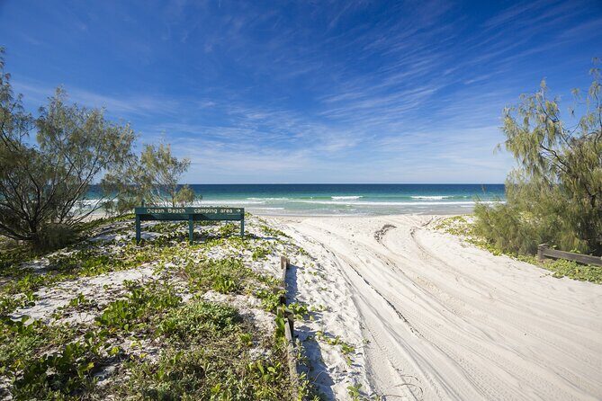 Brisbane day trip to Bribie Island - Authentic Experiences and Traveler Feedback