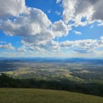 Brisbane Departure : Explore Tamborine Mountain Day Tour - What Sets This Tour Apart?