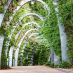 Brisbane Family Fun- Parks and Landmarks Walking Tour - The Iconic Wheel of Brisbane