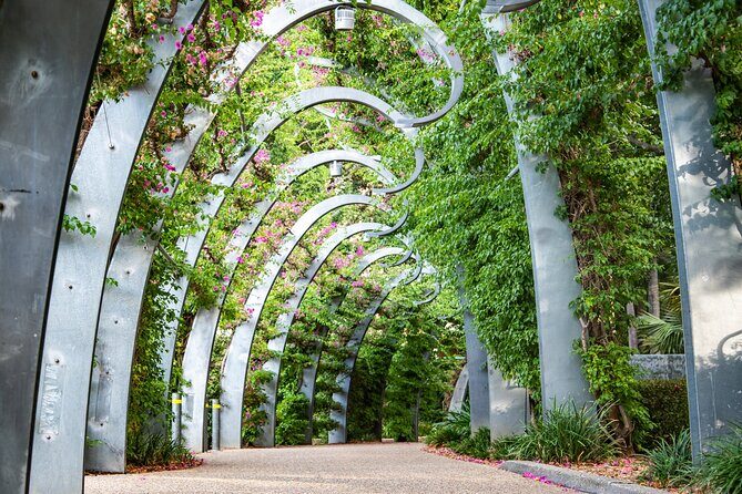 Brisbane Family Fun- Parks and Landmarks Walking Tour - The Iconic Wheel of Brisbane