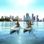 Brisbane: Guided River Kayak Tour - The Itinerary in Detail