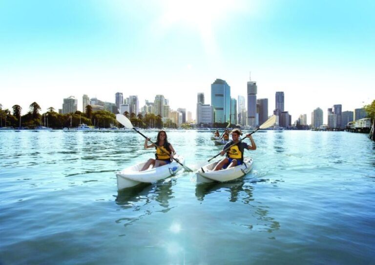 Brisbane: Guided River Kayak Tour - The Itinerary in Detail