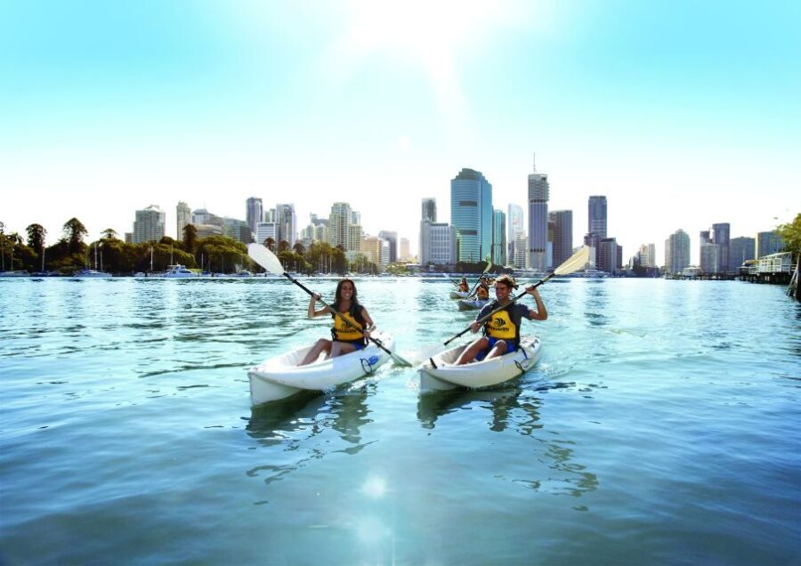 Brisbane: Guided River Kayak Tour - The Itinerary in Detail