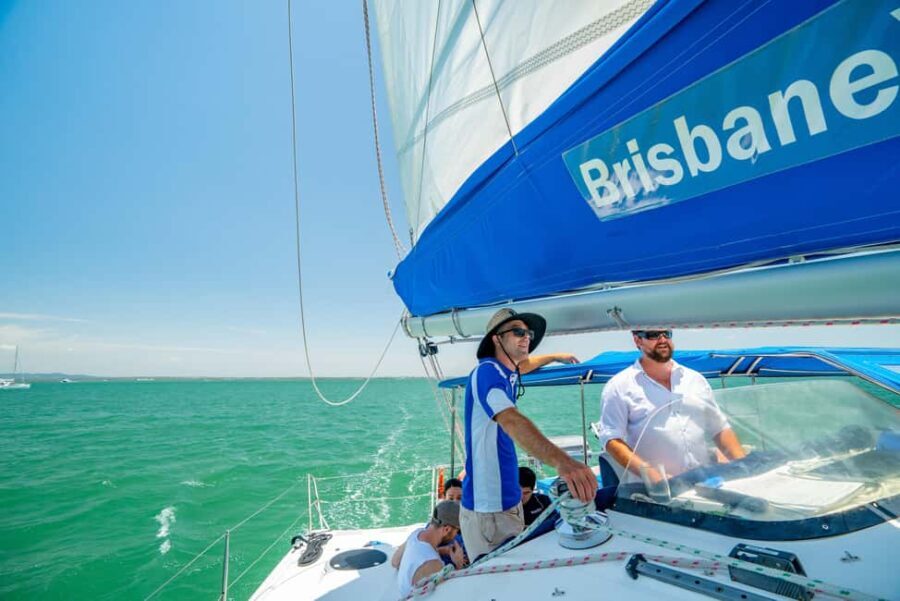 Brisbane: Half-Day Moreton Bay Sailing Cruise with Antipasto - Water Activities and Wildlife Viewing: What to Expect