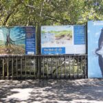 Brisbane: Kangaroos, Birds and Mangroves Coastal Tour - Exploring the Itinerary: What You’ll Experience