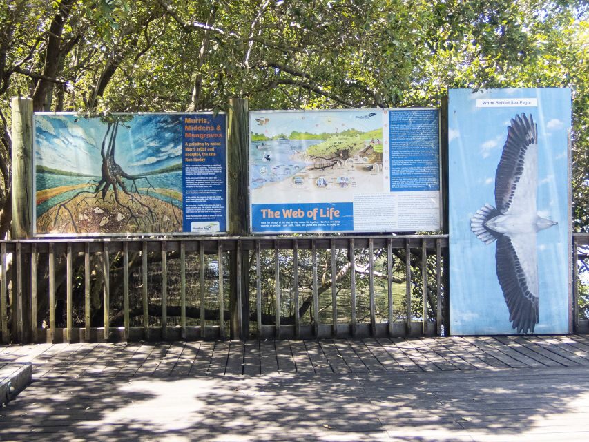 Brisbane: Kangaroos, Birds and Mangroves Coastal Tour - Exploring the Itinerary: What You’ll Experience