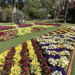 Brisbane: Personal Southeast Queensland Tour - What Makes This Tour Stand Out