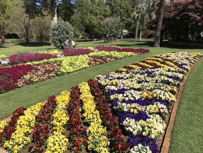 Brisbane: Personal Southeast Queensland Tour - What Makes This Tour Stand Out