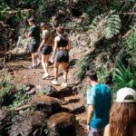 Brisbane: Springbrook 7 Waterfalls and Natural Bridge Day Tour - Why This Tour Stands Out